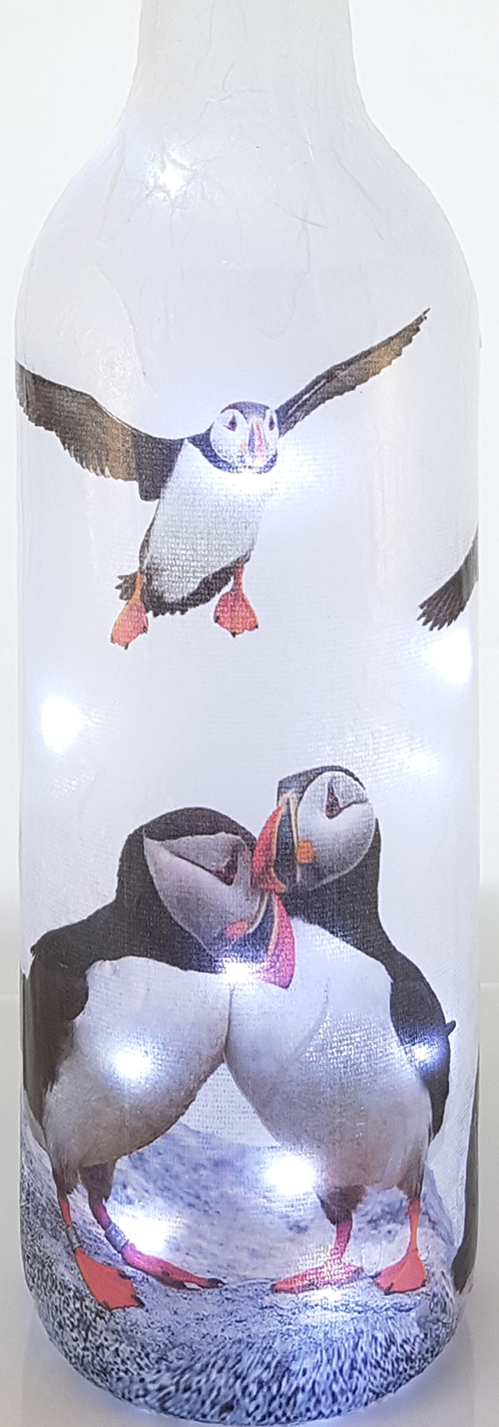Bird Themed Electric LED Bottle Lamp. Hand Made Ambient Lighting ...